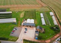 Welcome To Halberton Court Farm Shop - Home - Halberton Court Farm Shop